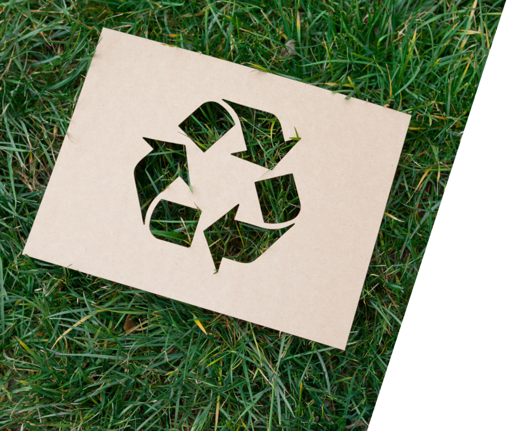 Comprendre Le Recyclage Dbs Recyclage